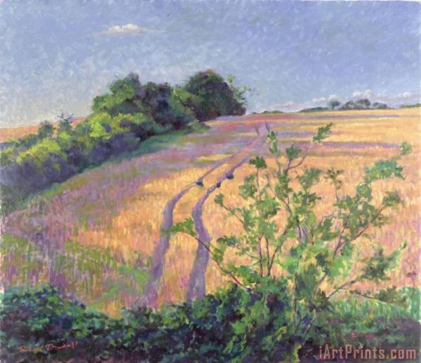 Robert Tyndall prints for sale - iArtPrints.com