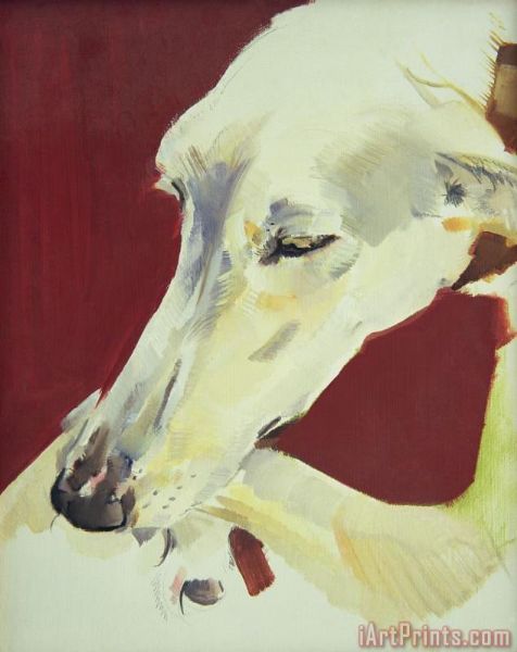 Sally Muir prints for sale - iArtPrints.com